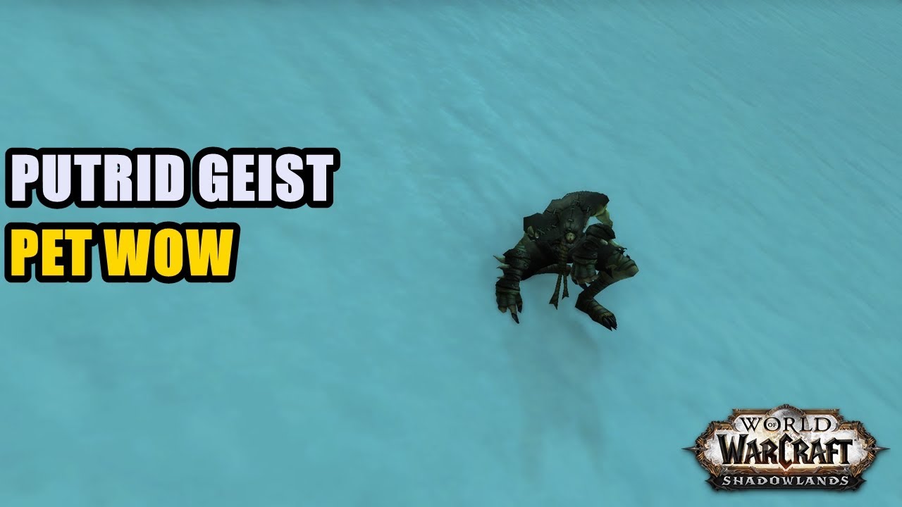 Putrid Geist Pet WoW (Shadowlands Pre-Patch Reward) - World of Warcraft ...