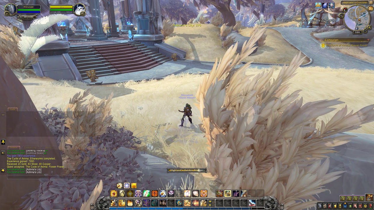 Shadowlands Quest 44: The Cycle of Anima: Flower Power (WoW, human ...