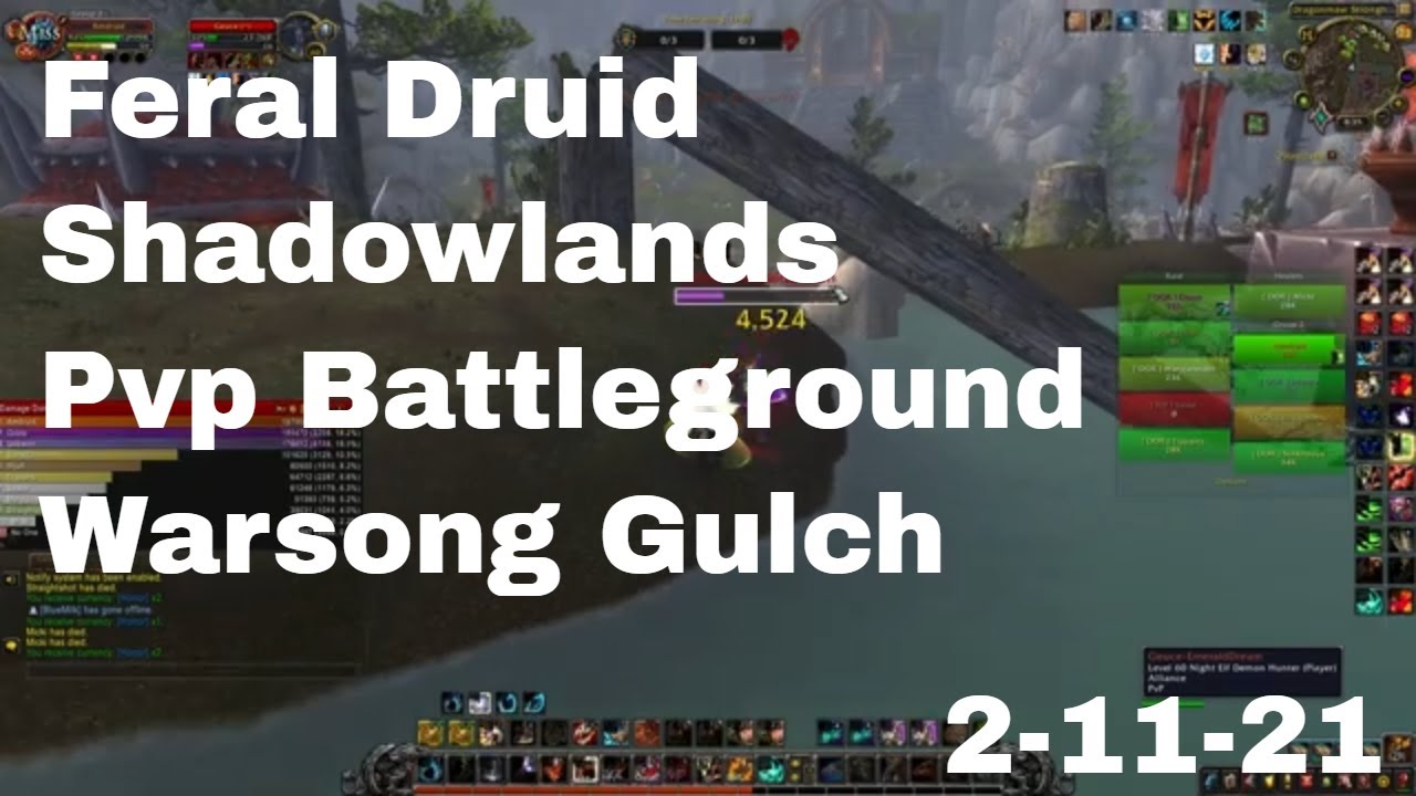 World of Warcraft Shadowlands Feral Druid Pvp Battleground, Warsong ...