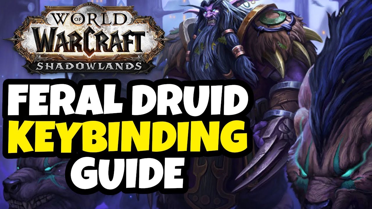 Feral Druid Keybinding Guide | WoW Shadowlands 9.0.5 - World of ...