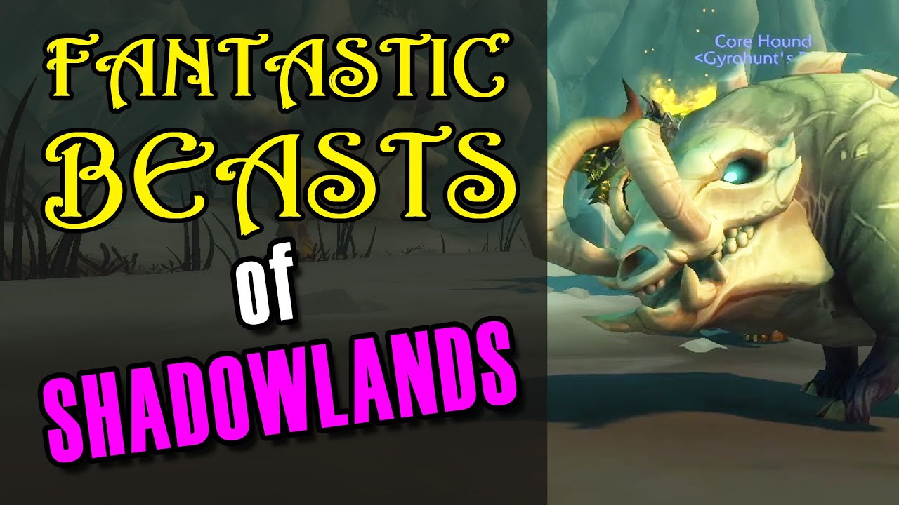 HUNTER PETS GUIDE - Fantastic Beasts of Shadowlands! - World of ...