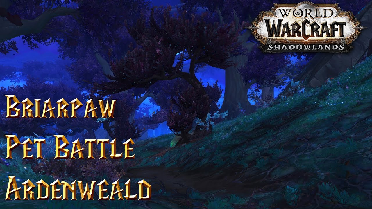 Briarpaw - WoW Shadowlands - World of Warcraft videos