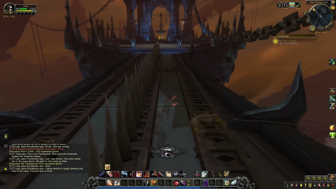 The Lion's Cage - World Of Warcraft : Shadowlands - World of Warcraft ...