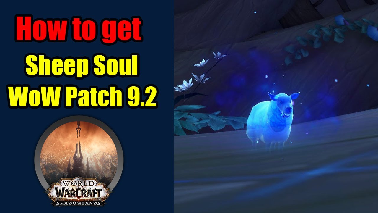 How to get Sheep Soul (Night Fae Soulshape) | World of Warcraft ...