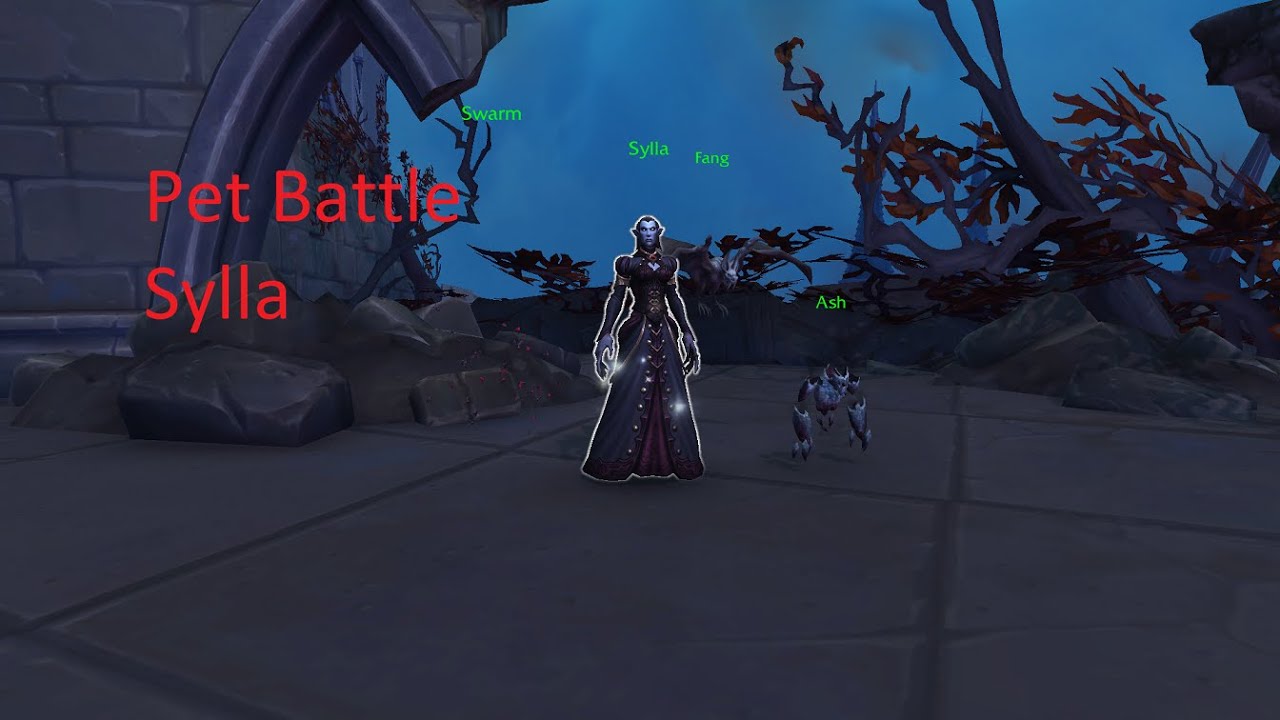 World of Warcraft - Shadowlands - Pet Battle Guide - Sylla - World of ...