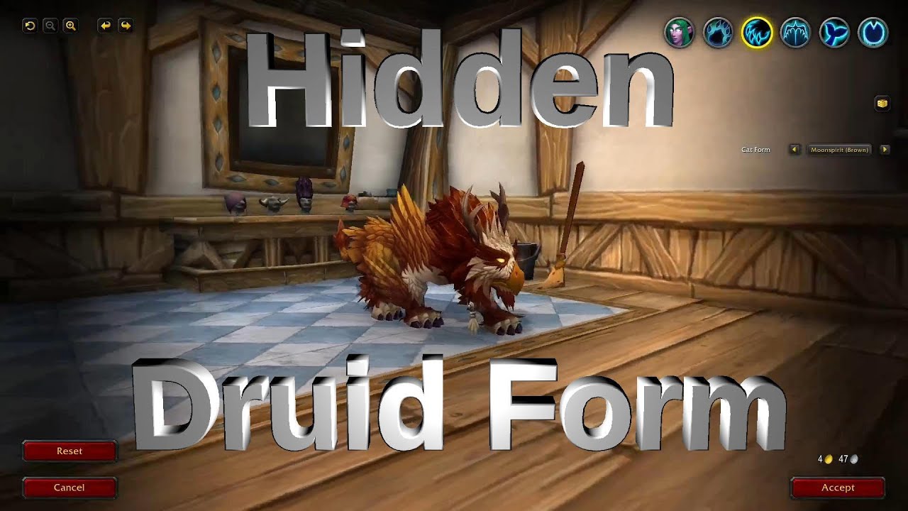 WoW - Druid Hidden Form Moonspirit - How to get his form in Shadowlands ...
