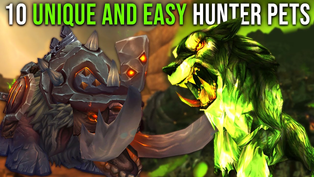 10 Unique AND Easy Hunter Pets in World of Warcraft - World of Warcraft ...